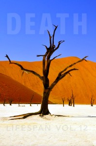 Submissions for ‘Death Lifespan Vol. 12’ have now opened | Bequem ...